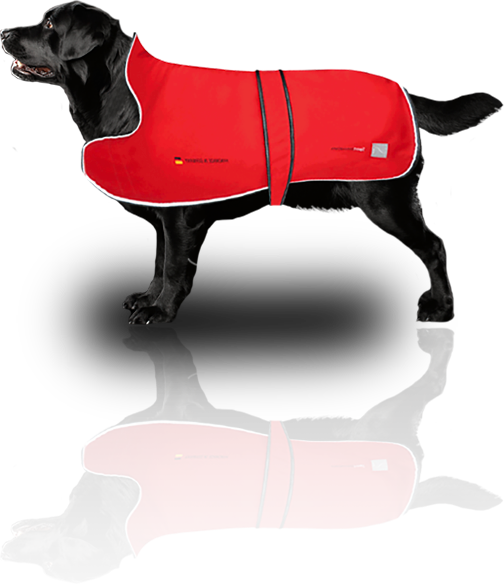 SportInnovations - Next Generation of Equine and Canine PEMF Equipment