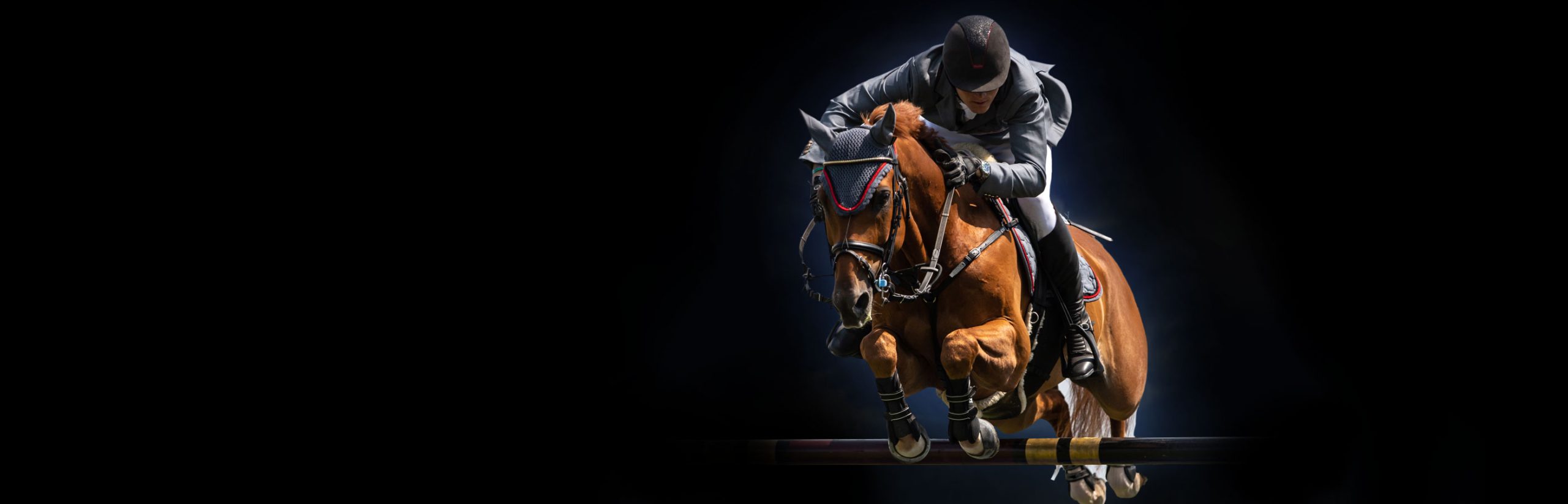 SportInnovations - Next Generation of Equine and Canine PEMF Equipment