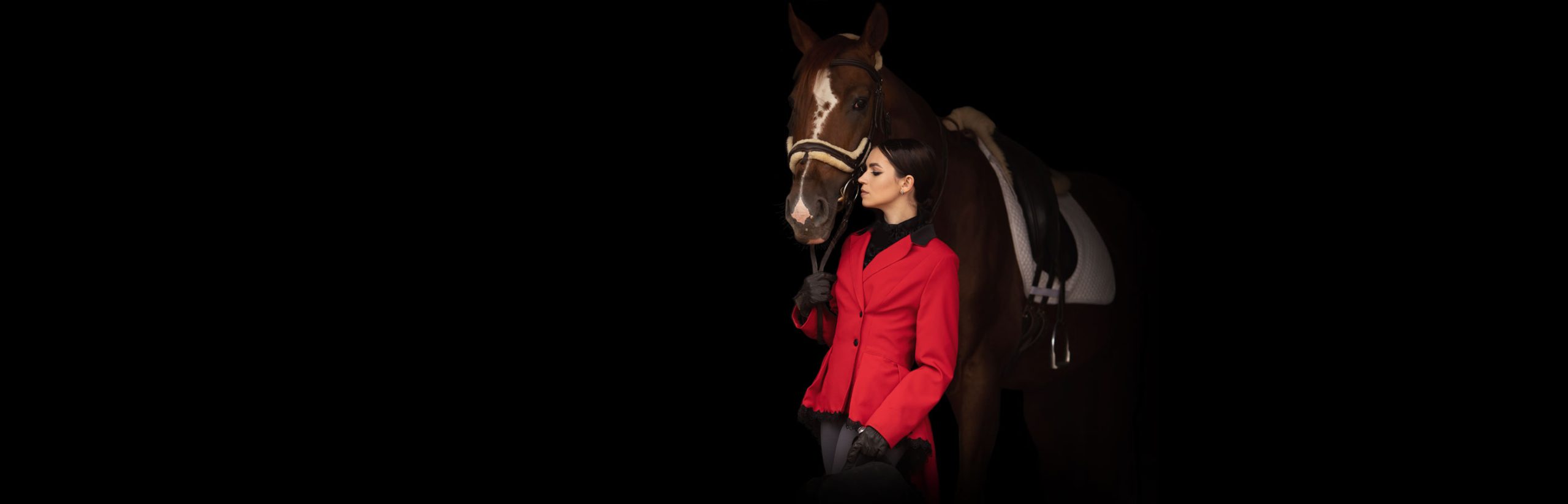 SportInnovations - Next Generation of Equine and Canine PEMF Equipment